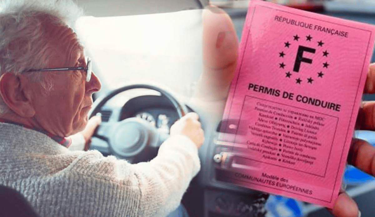 Permis de conduire senior : les conducteurs les plus âgés doivent-ils ...